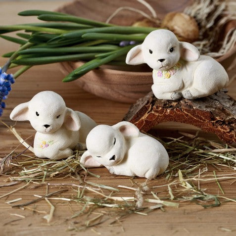 Klarborg Lammet Lammi – Heidisbutik